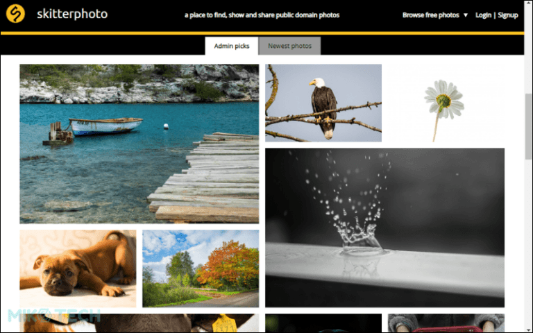 Top 40+ Web Tải Ảnh Chất Lượng Cao Miễn Phí 100%