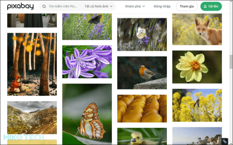 Top 40+ Web Tải Ảnh Chất Lượng Cao Miễn Phí 100%