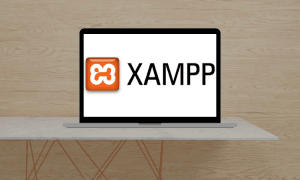XAMPP là gì? Hướng dẫn cài đặt và sử dụng XAMPP 2025