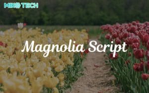 20+ Font Chữ Sang Trọng, Tinh Tế Designer Không Nên Bỏ Qua